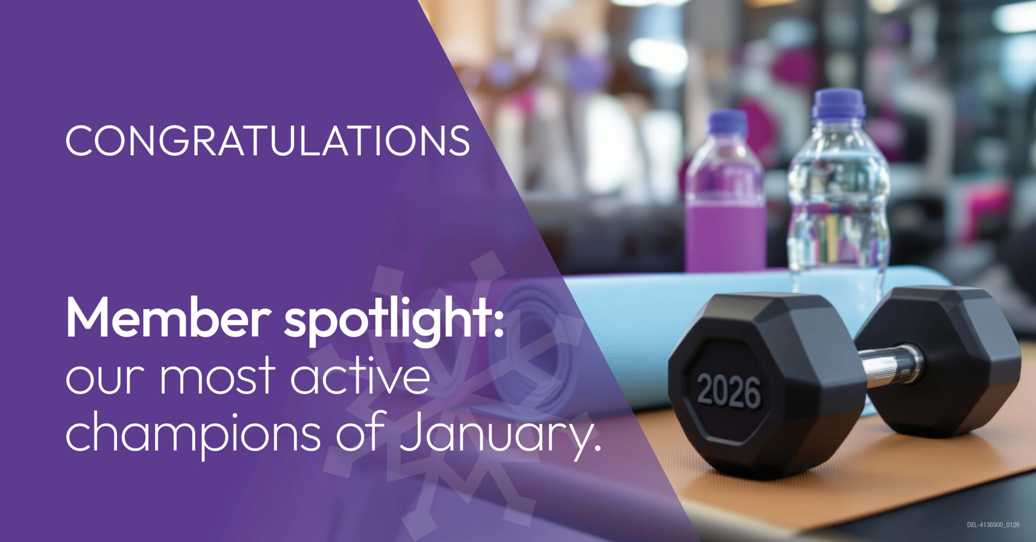 Member Spotlight: Our Most Active Champions of January - Northwestern ...